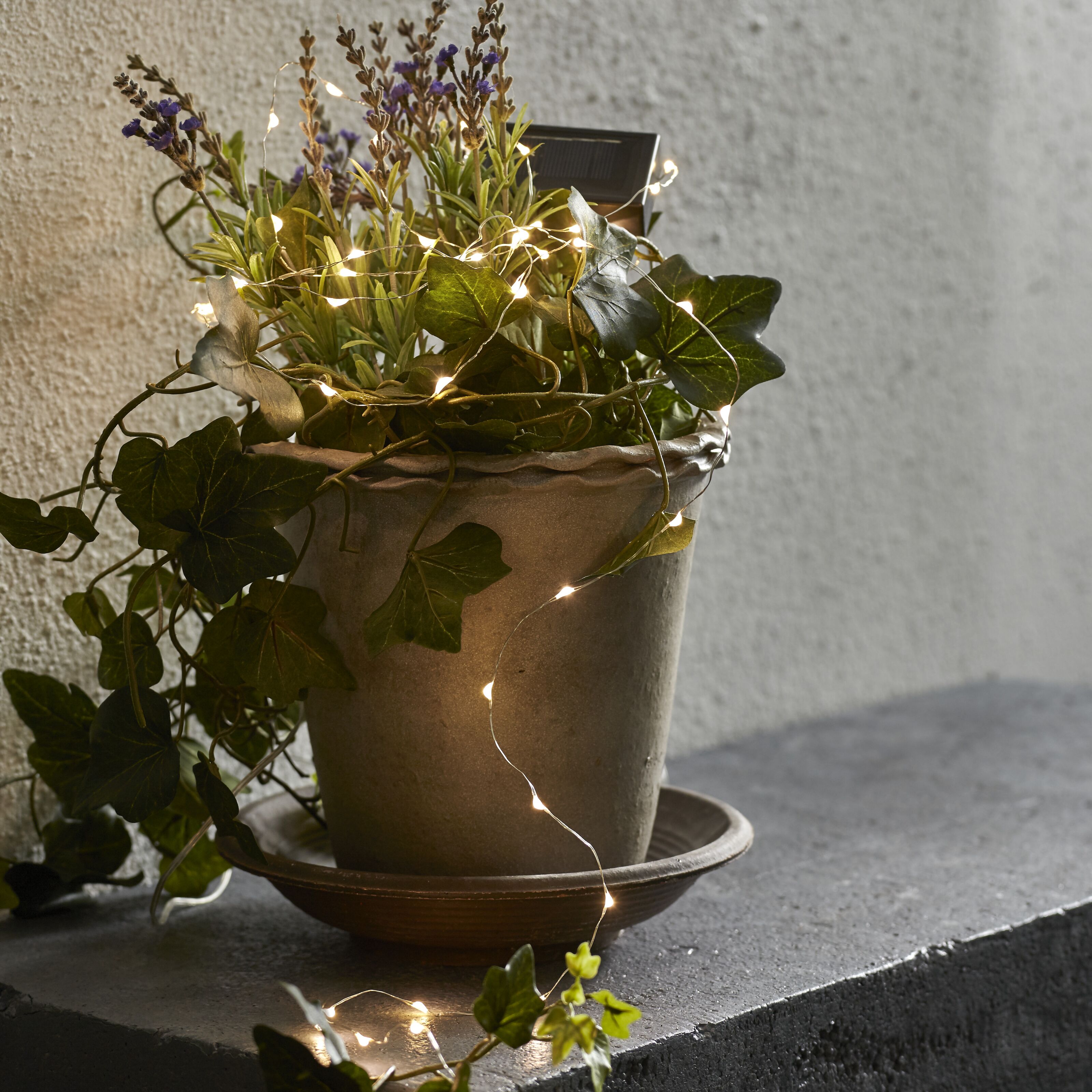 Solcellsdriven ljusslinga 50 LED - Trädgårdsbelysning | Kjell & Company