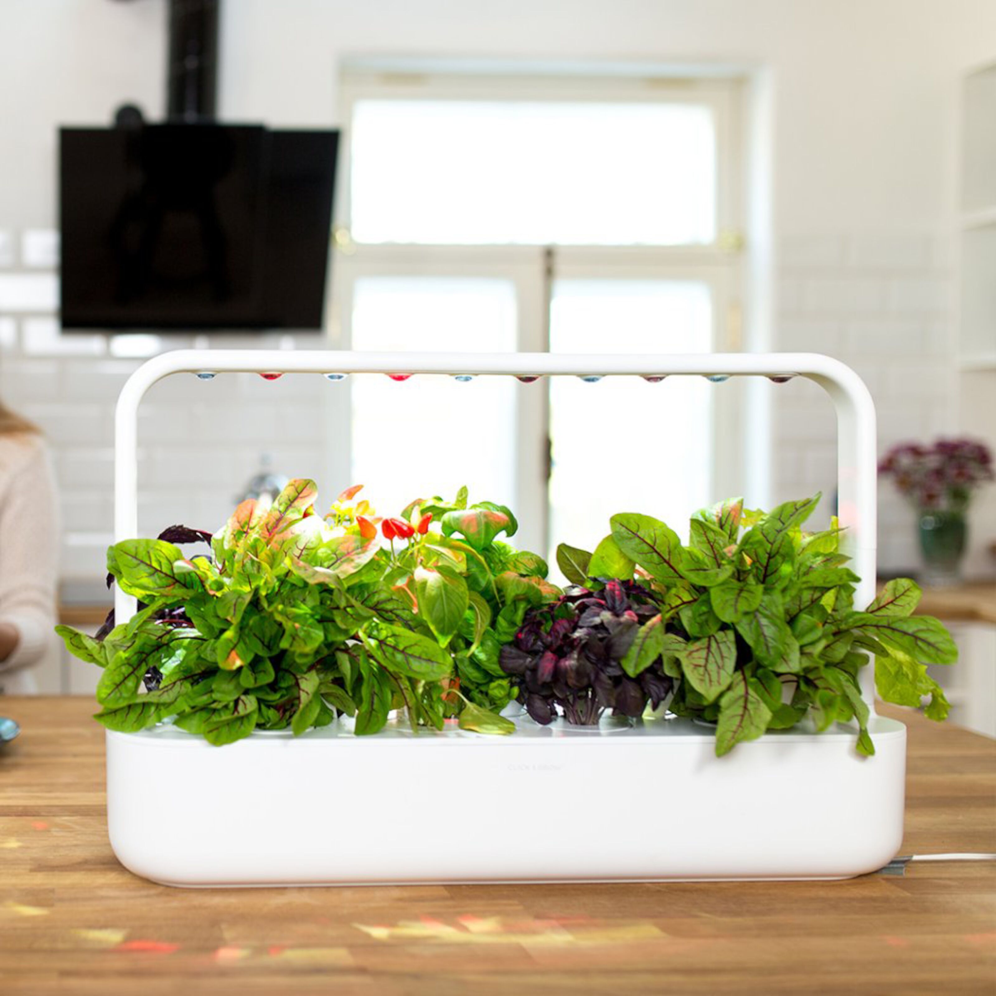 Click and Grow Smart Garden 9 Startpaket - Smart Garden-system | Kjell.com