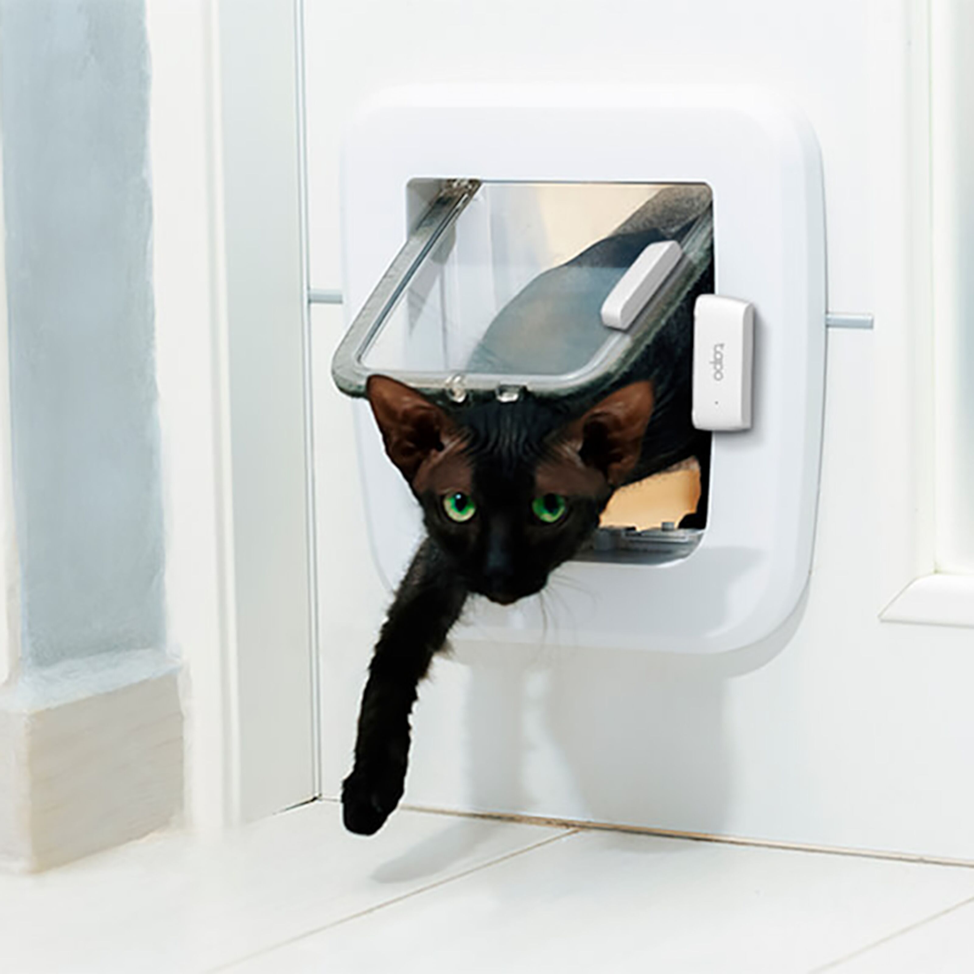 TP-link Tapo T110 Magnetsensor - Smarta magnetkontakter | Kjell.com