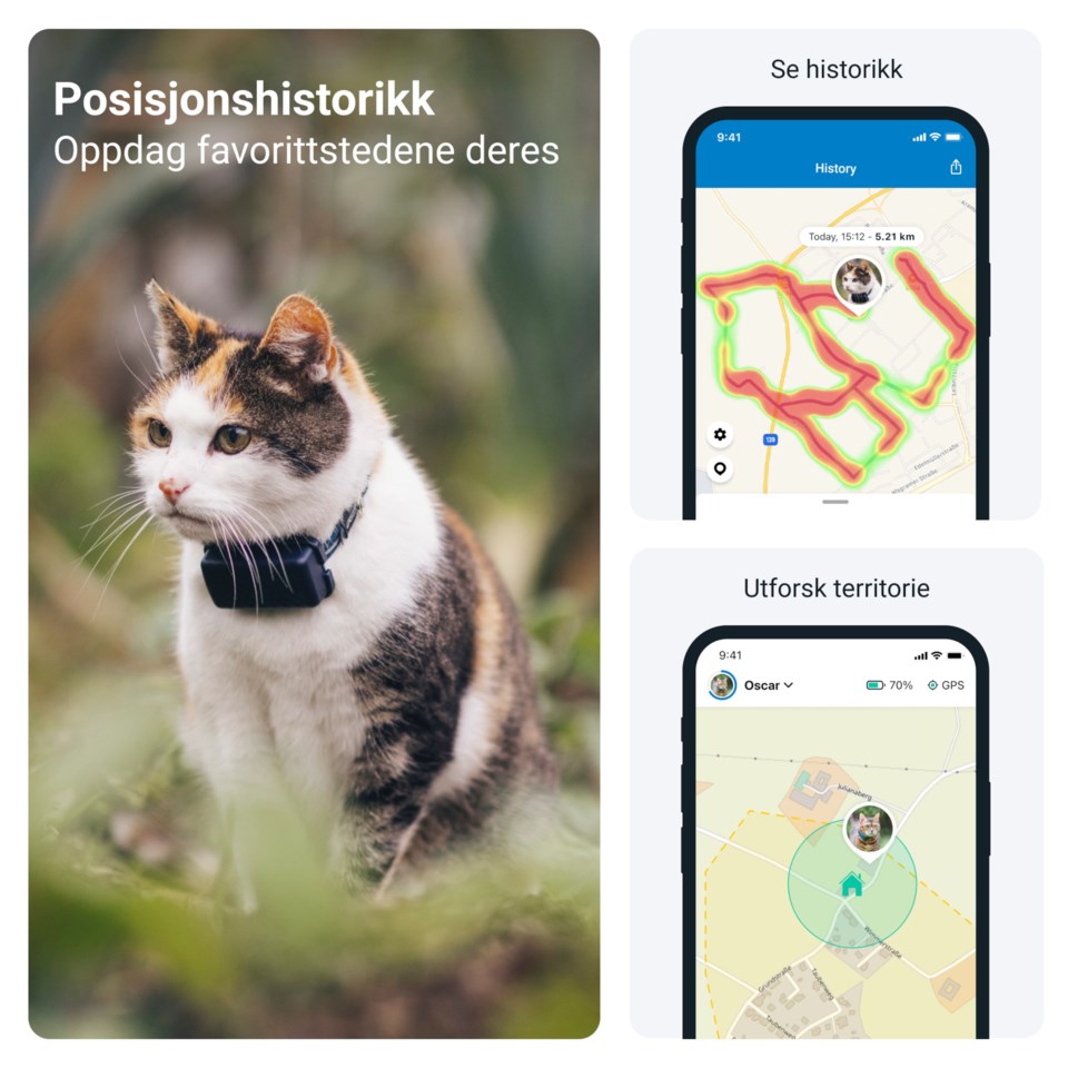 Tractive CAT Mini GPS-sporingsbrikke for katt - GPS-tracker | Kjell.com Tractive CAT Mini GPS-sporingsbrikke for katt - GPS-tracker | Kjell.com